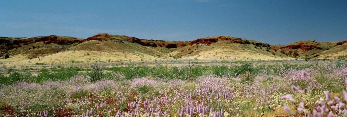 Pannawonica | Australia's North West