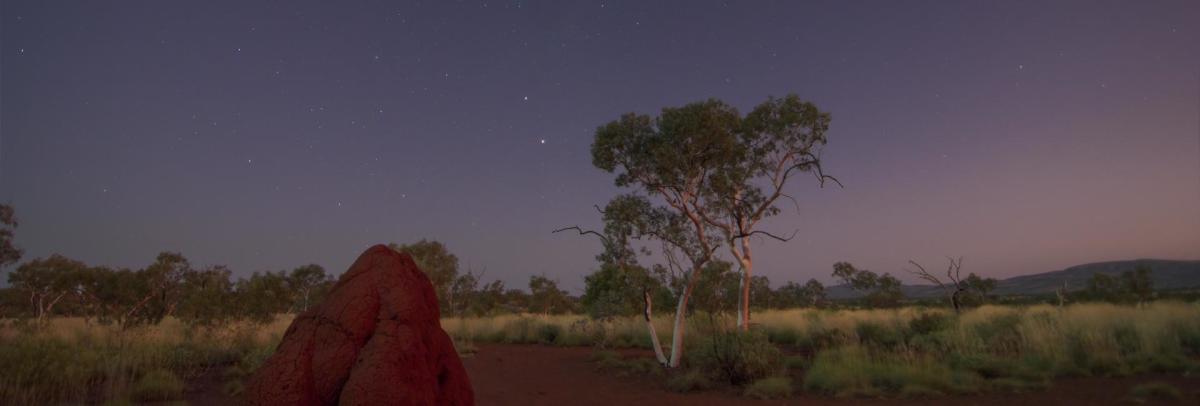 Drive the Pilbara's Star Way - 10 to 12 days | Australia's North West