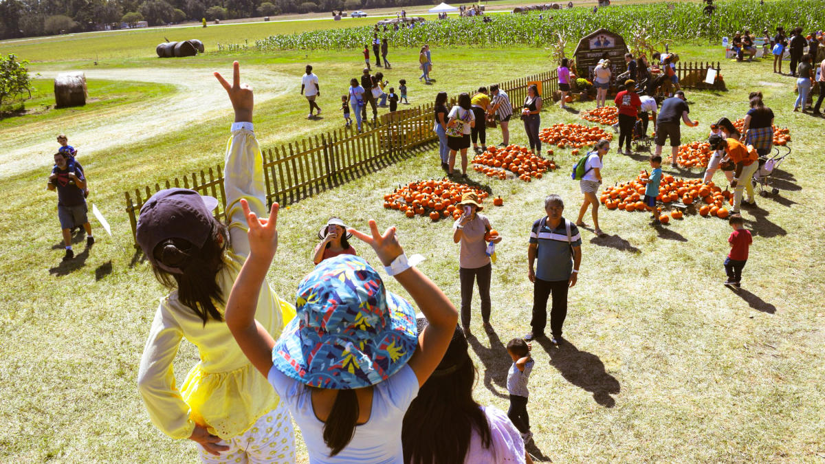 Fall Activities in Baton Rouge & Beyond | Pumpkin Patches & Corn Mazes ...