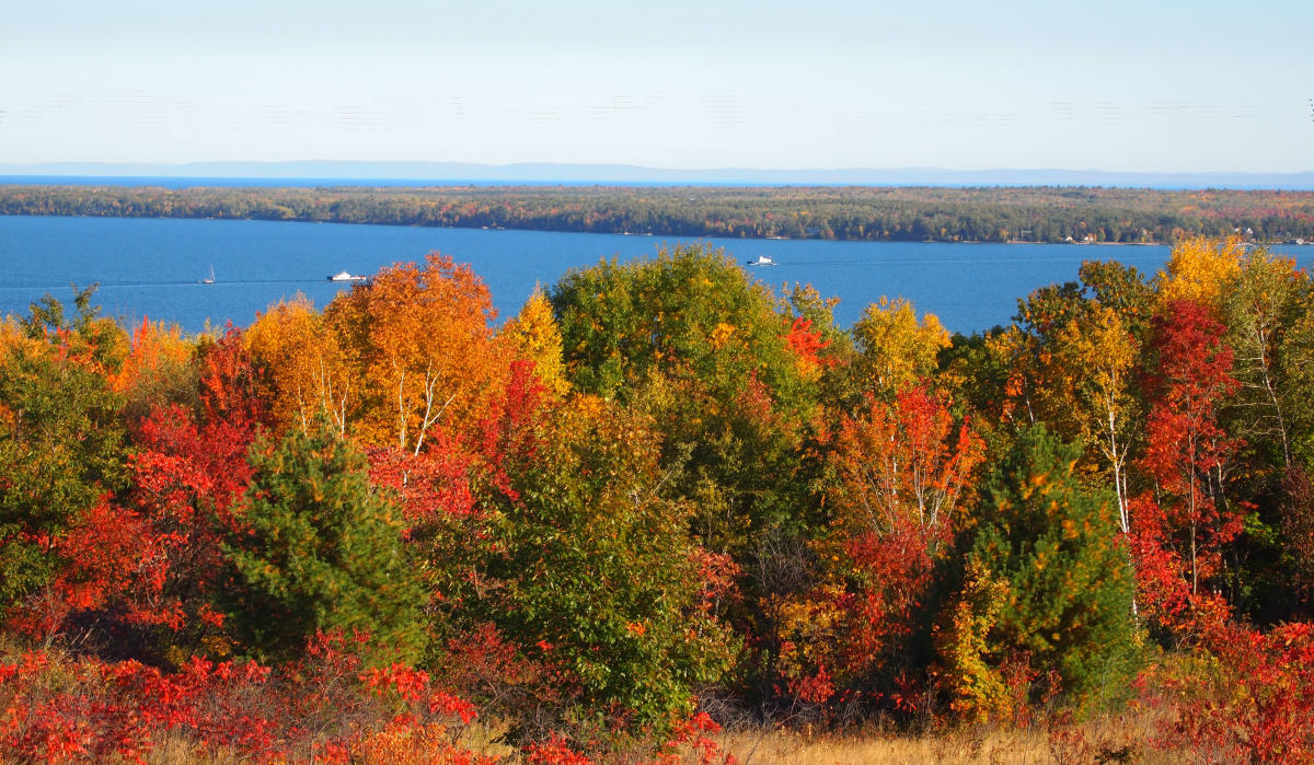 Fall Color Report - Bayfield