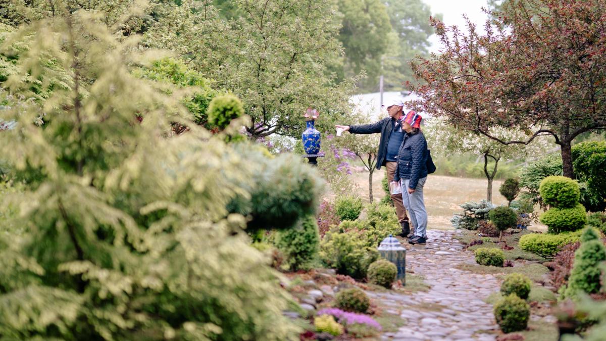 More to do in Bayfield - Bayfield