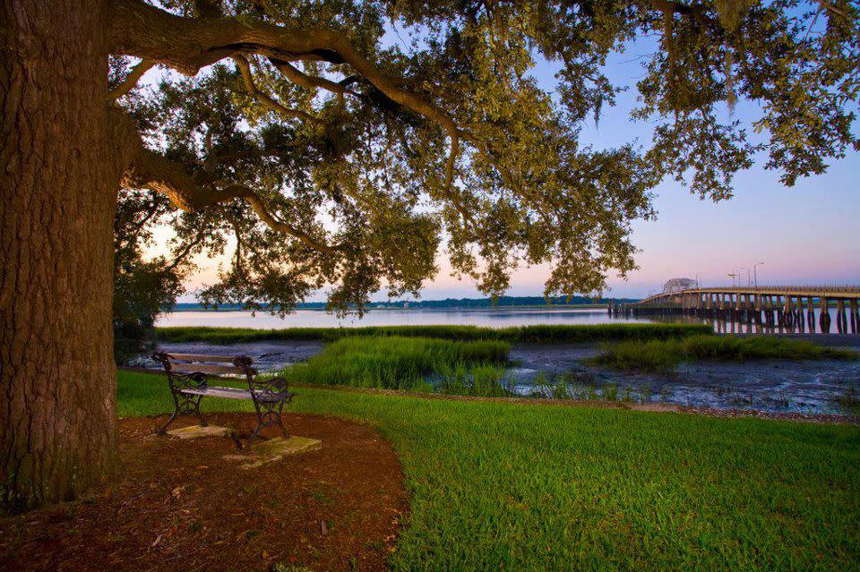 Spring in the Lowcountry