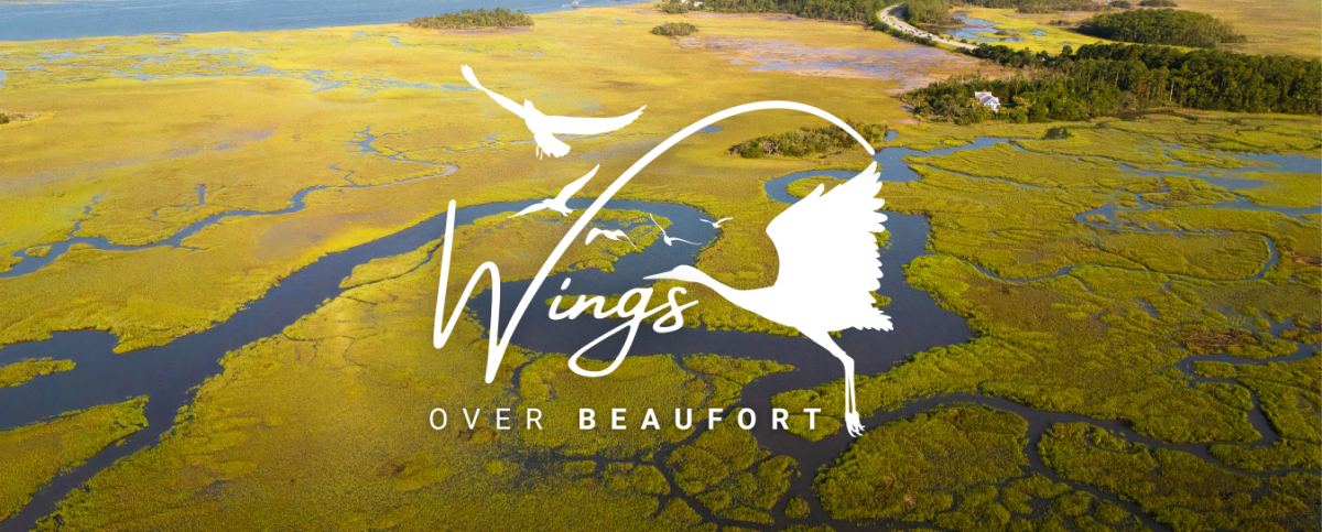Wings Over Beaufort