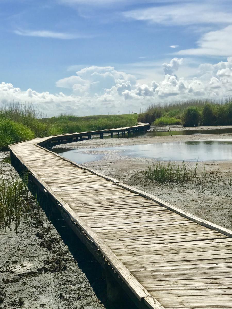 Things to do in Mid-County, Texas