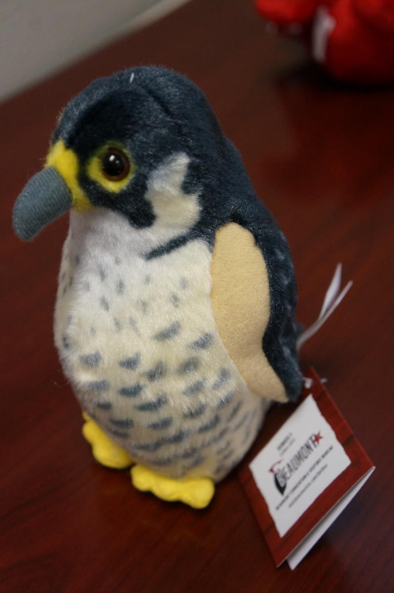 Beaumont Birdie - Spot