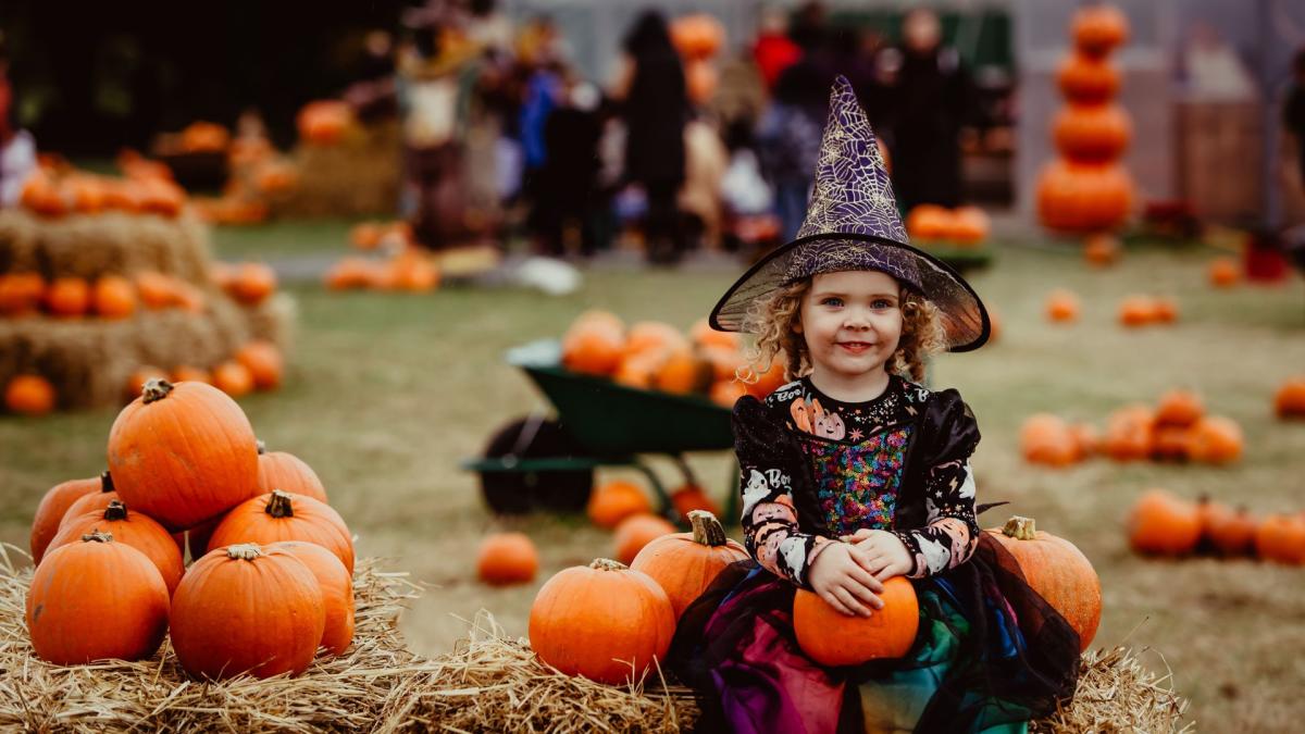 Halloween in Belfast | Visit Belfast