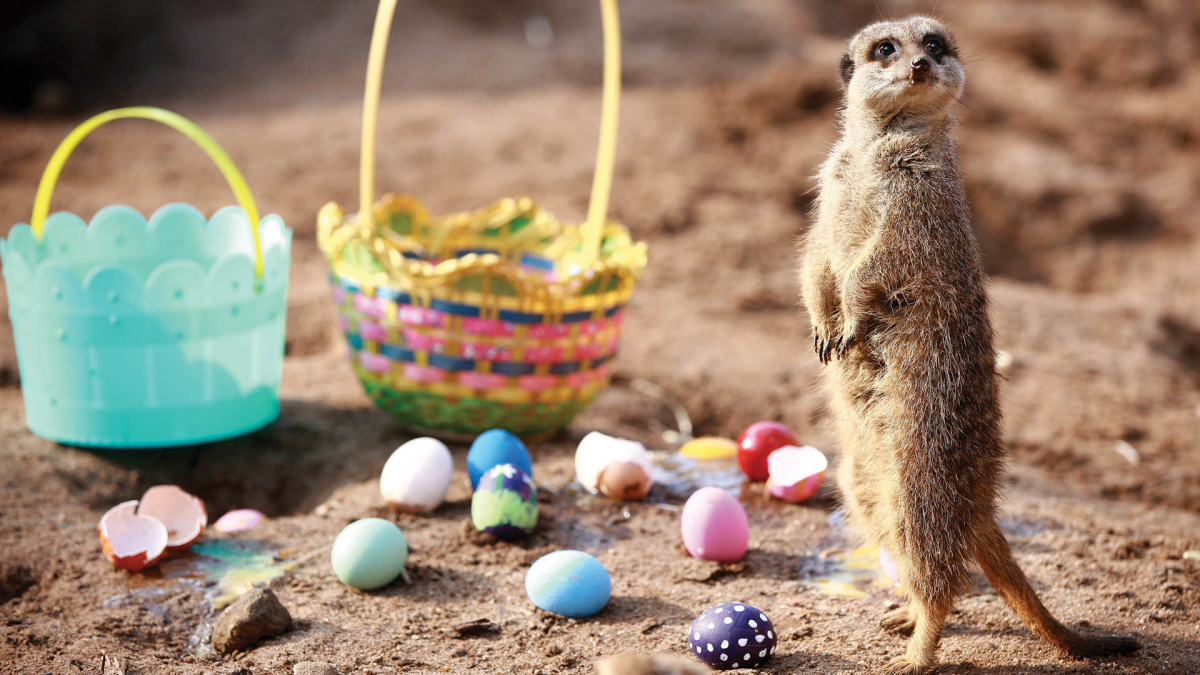 Easter | Visit Belfast