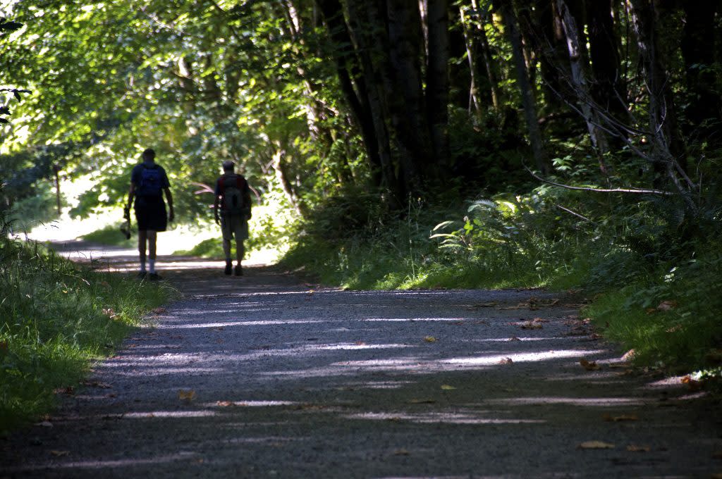 The Best Running & Walking Trails In Bellevue | Trail Maps