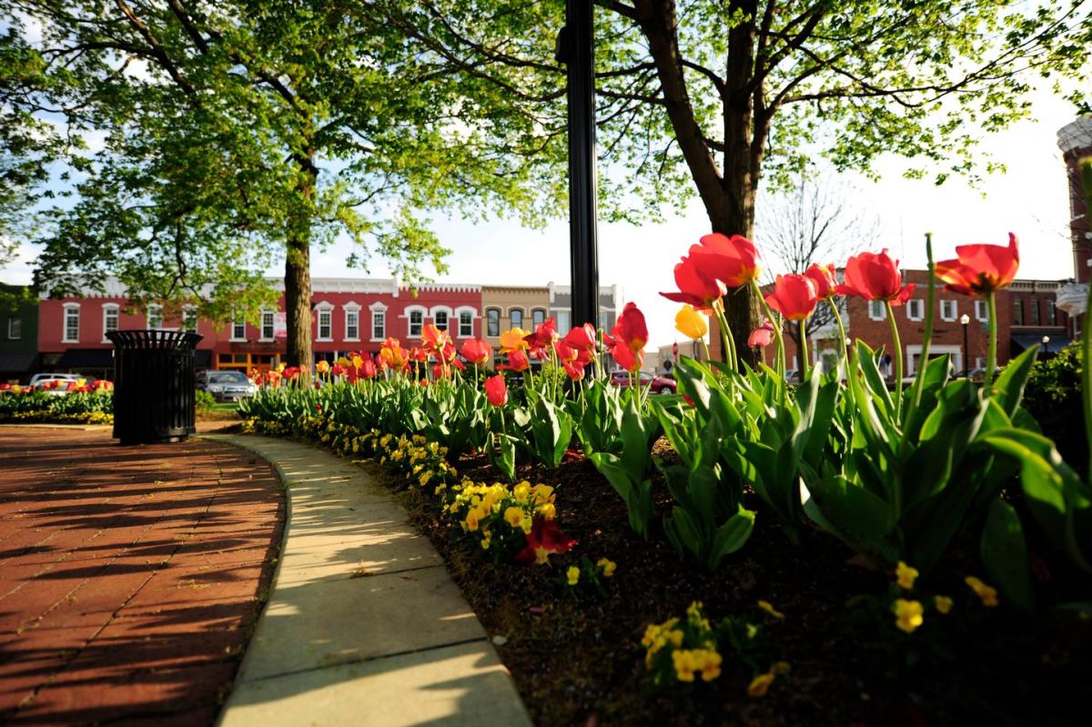 Bentonville Square is the Heart of the Historic Downtown area