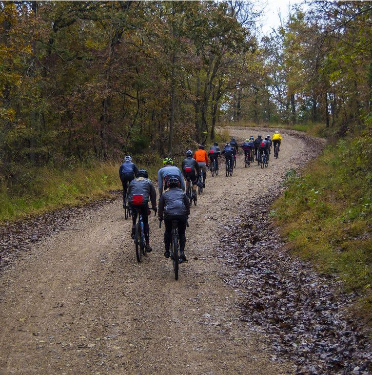 LIFETIME Big Sugar 2021