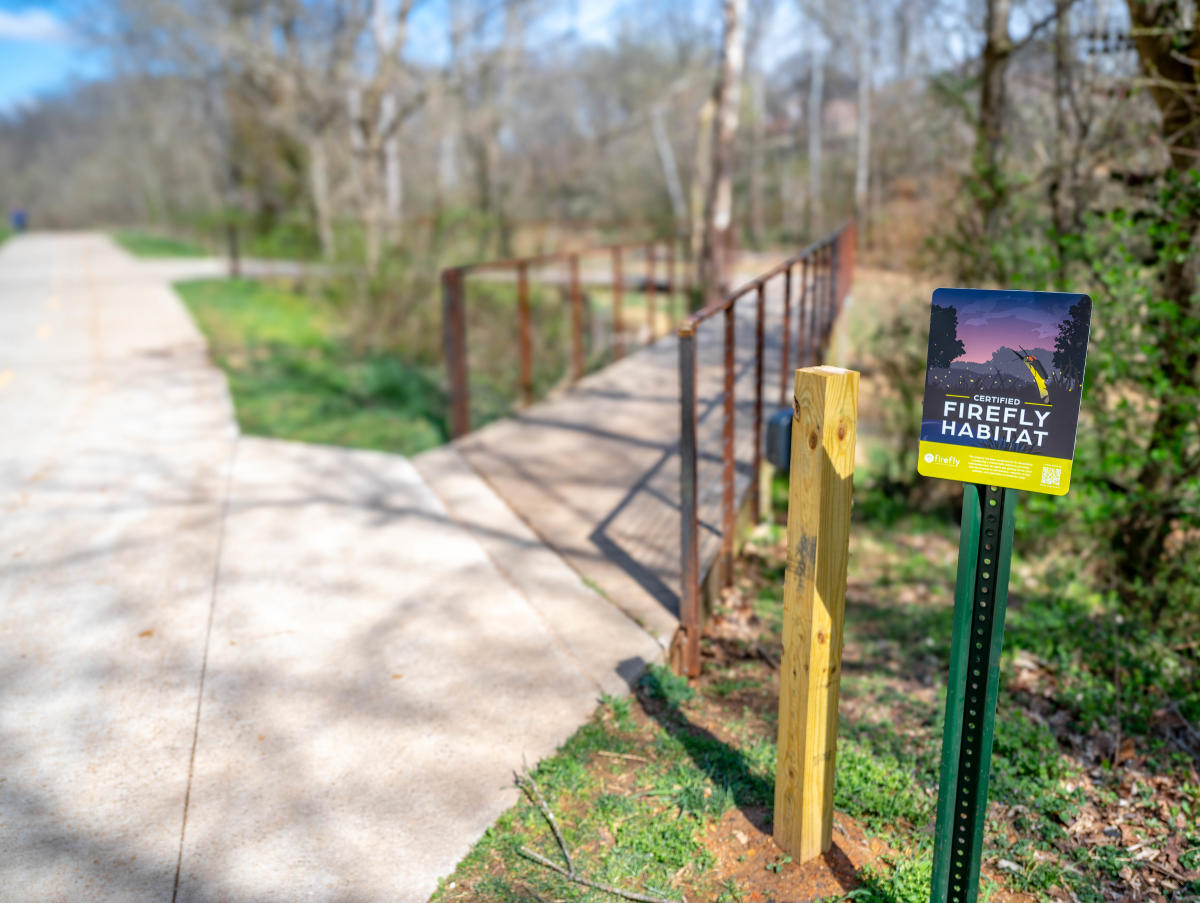 Arkansas’s First Firefly Sanctuary Lights Bentonville with Natural Wonder