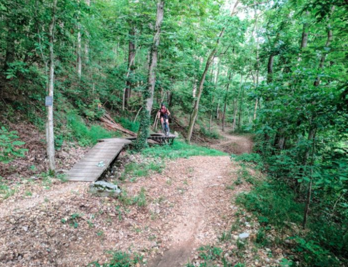 An Unexpected Playground In The Middle Of This AR Forest