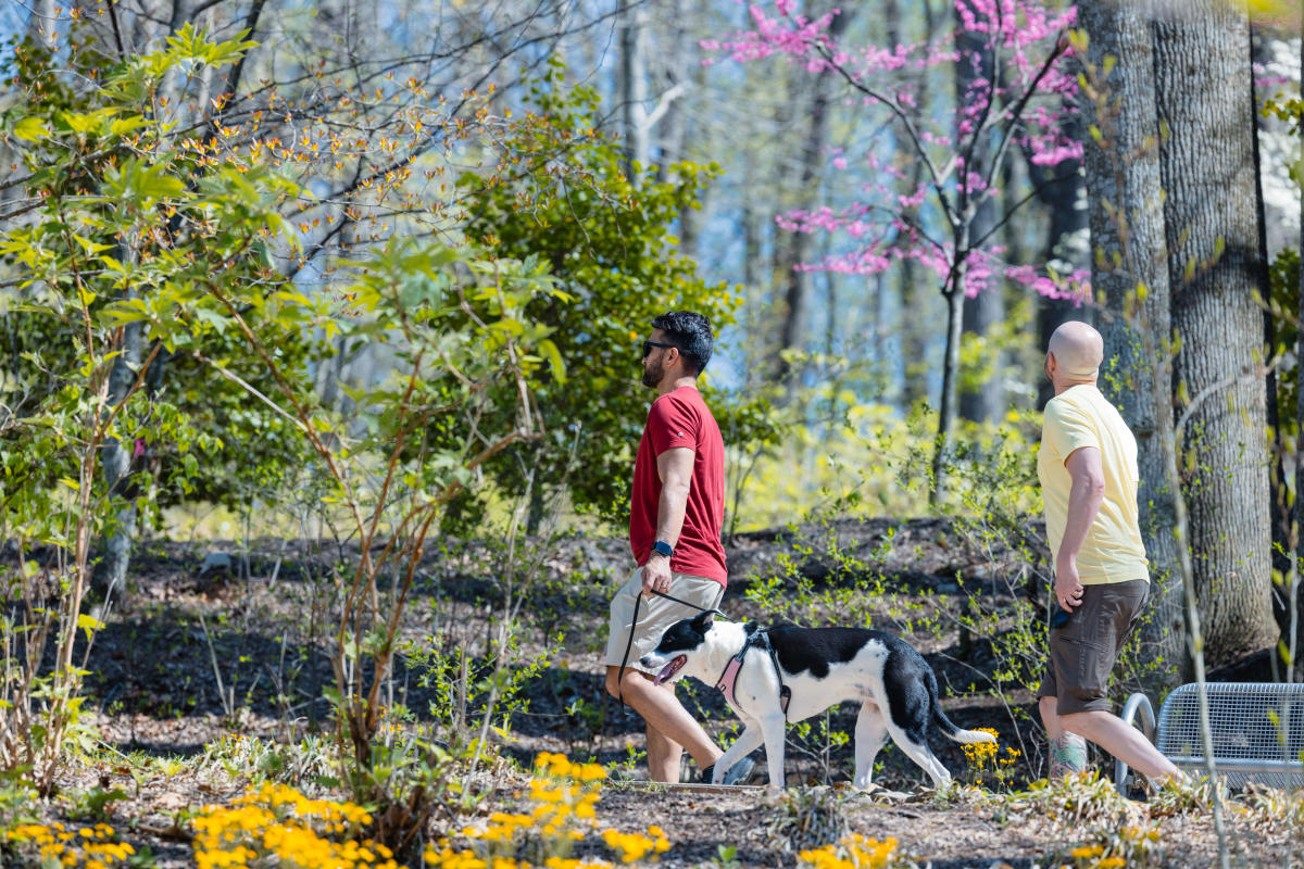 Alvy Early Memorial Classic: Welcome Back to Bentonville