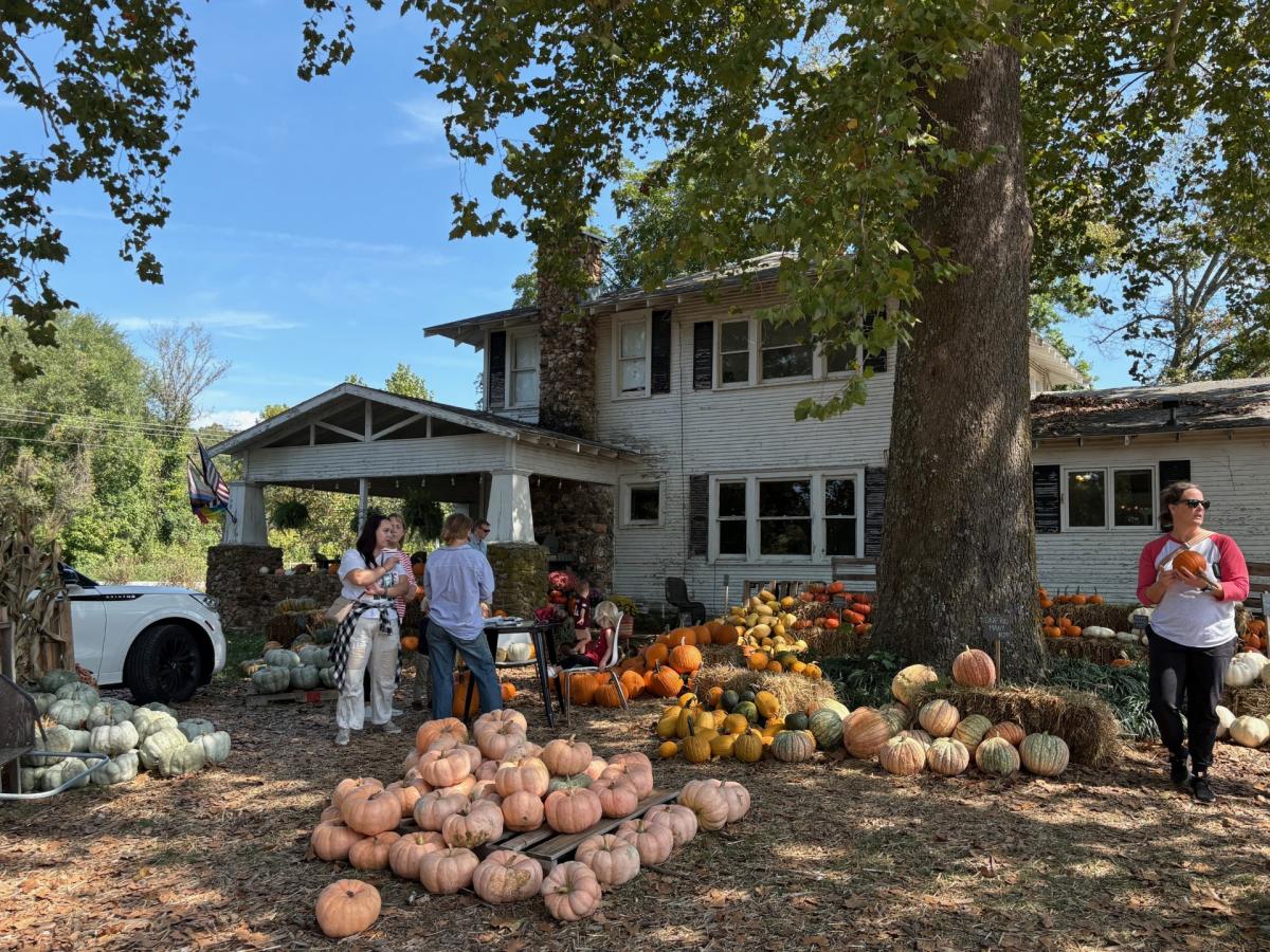 36 Hours in Bentonville this Fall