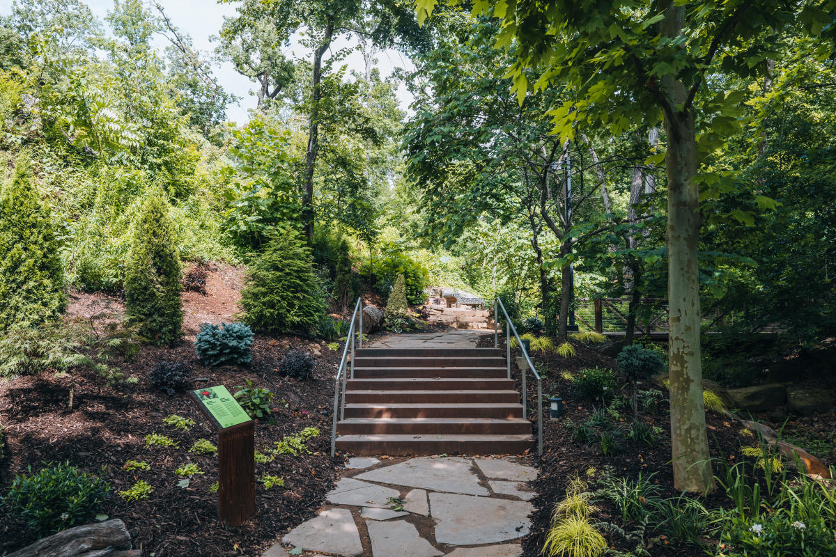 Discover Bentonville: The Ozarks’ Hidden Gem Featured in Texas ...