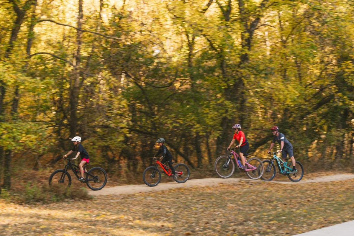 Your Comprehensive Guide to Bentonville's Parks