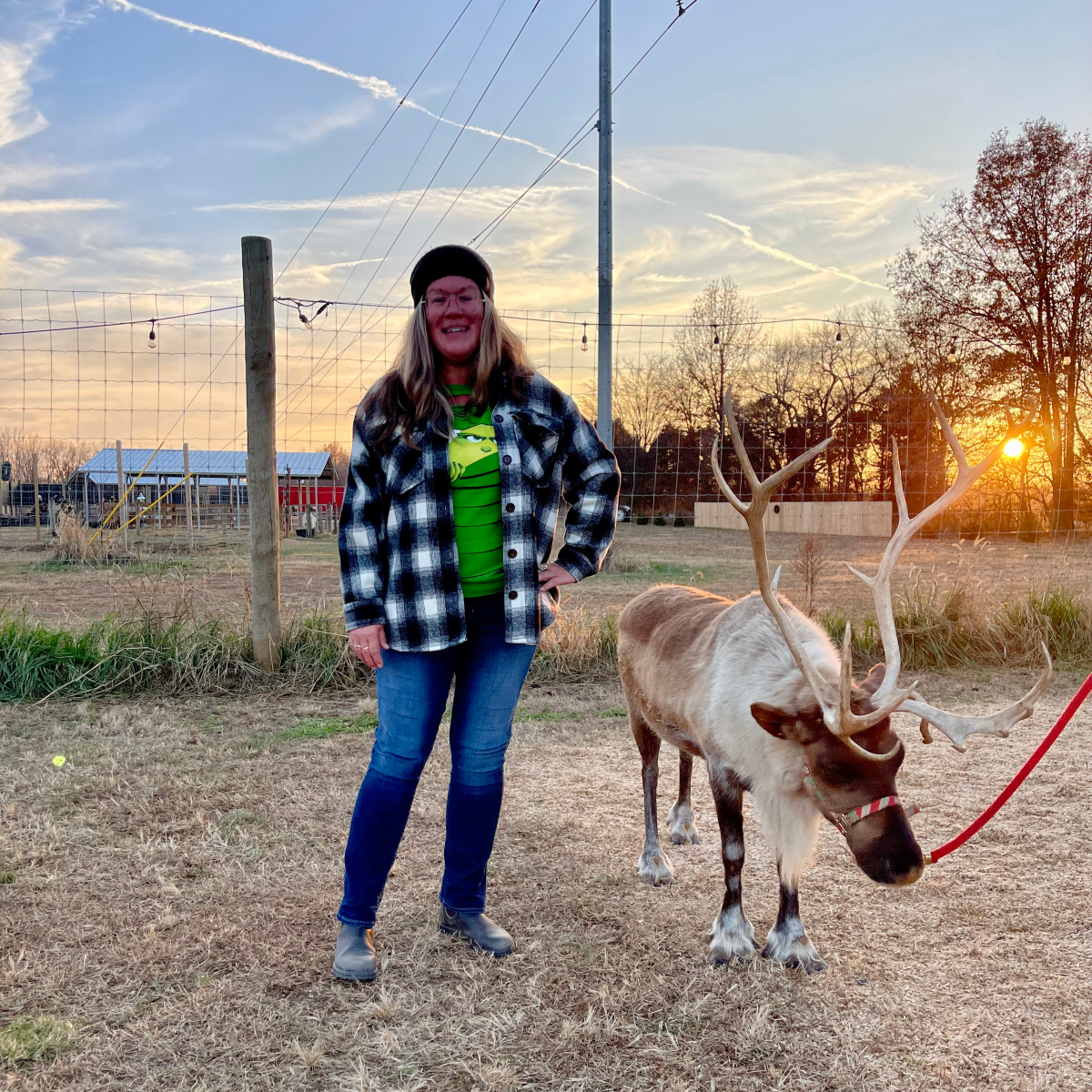 reindeer hoveringham