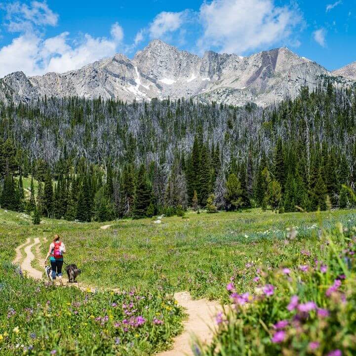 10 Hiking Essentials In Big Sky Country