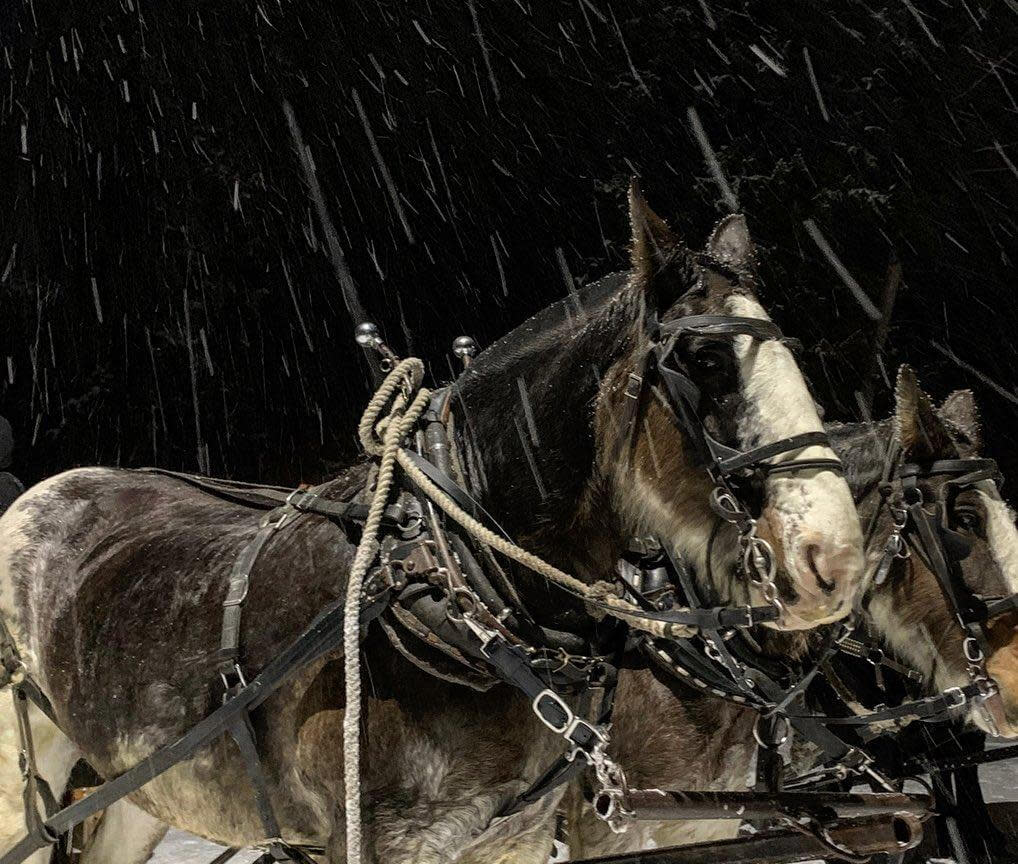 Enjoy A Sleigh Ride Dinner In Big Sky, Montana