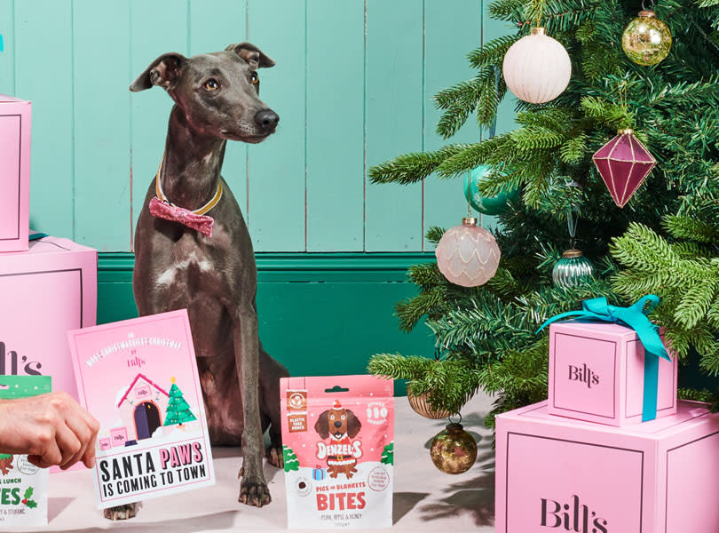 Table for ‘howl’ many? Bill’s launches festive dog menu across ...