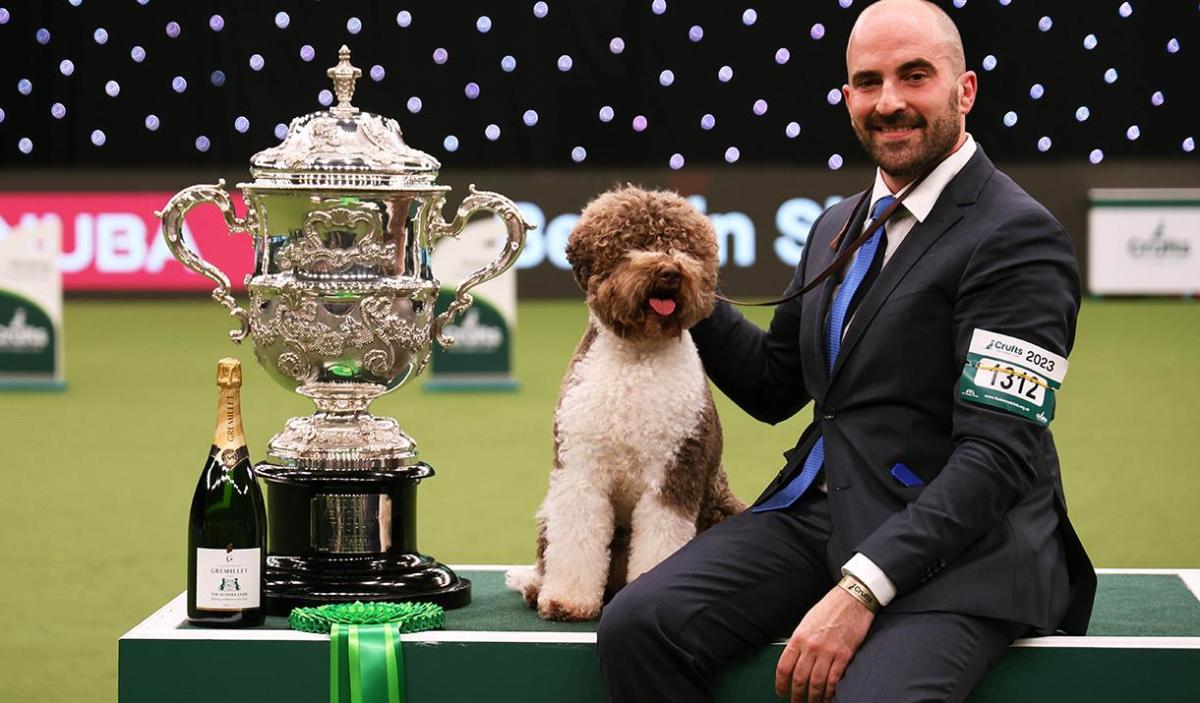 Crufts Returns to the NEC for its 4-day Show