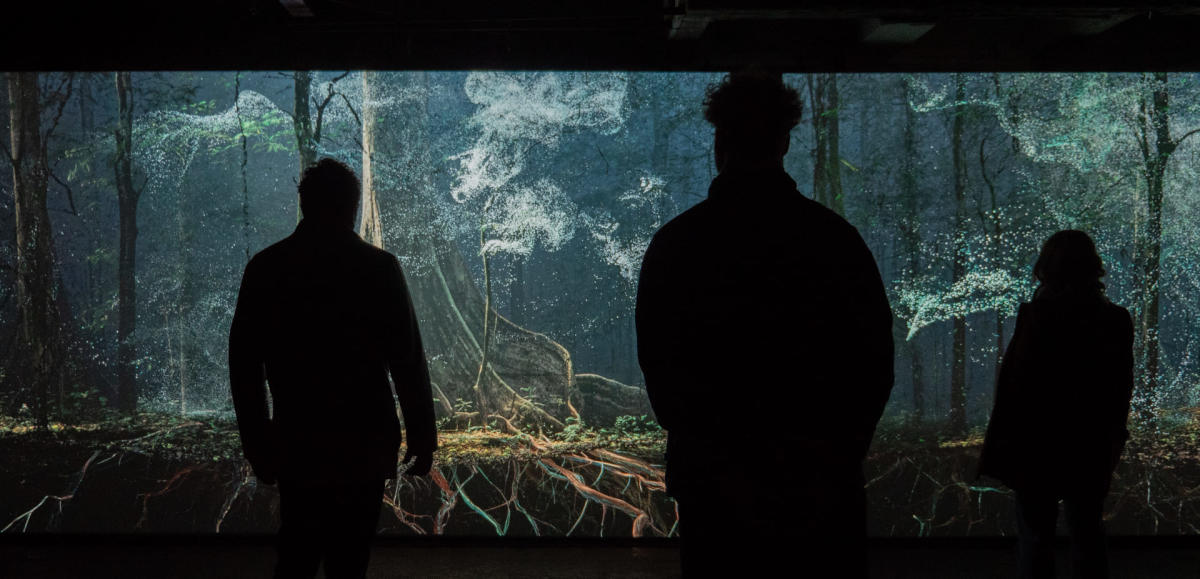 Step into the Amazon Rainforest with 'Breathing with the Forest ...