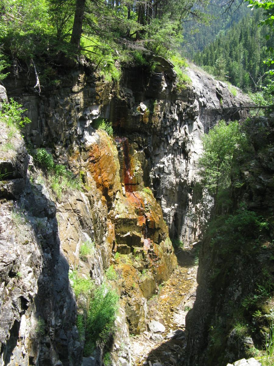 Eleventh Hour Gulch Hike – Challenging Trail in Spearfish Canyon, Black ...