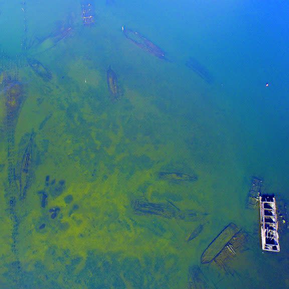Green Jacket Shoal Ship Graveyard