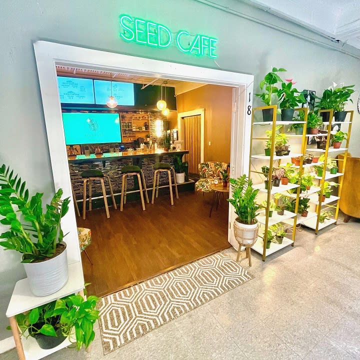 Seed Café and Espresso Bar