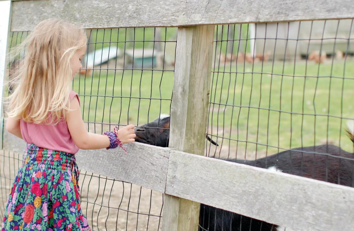 Family Fun Bucket List Adventure | Block Island Tourism Council