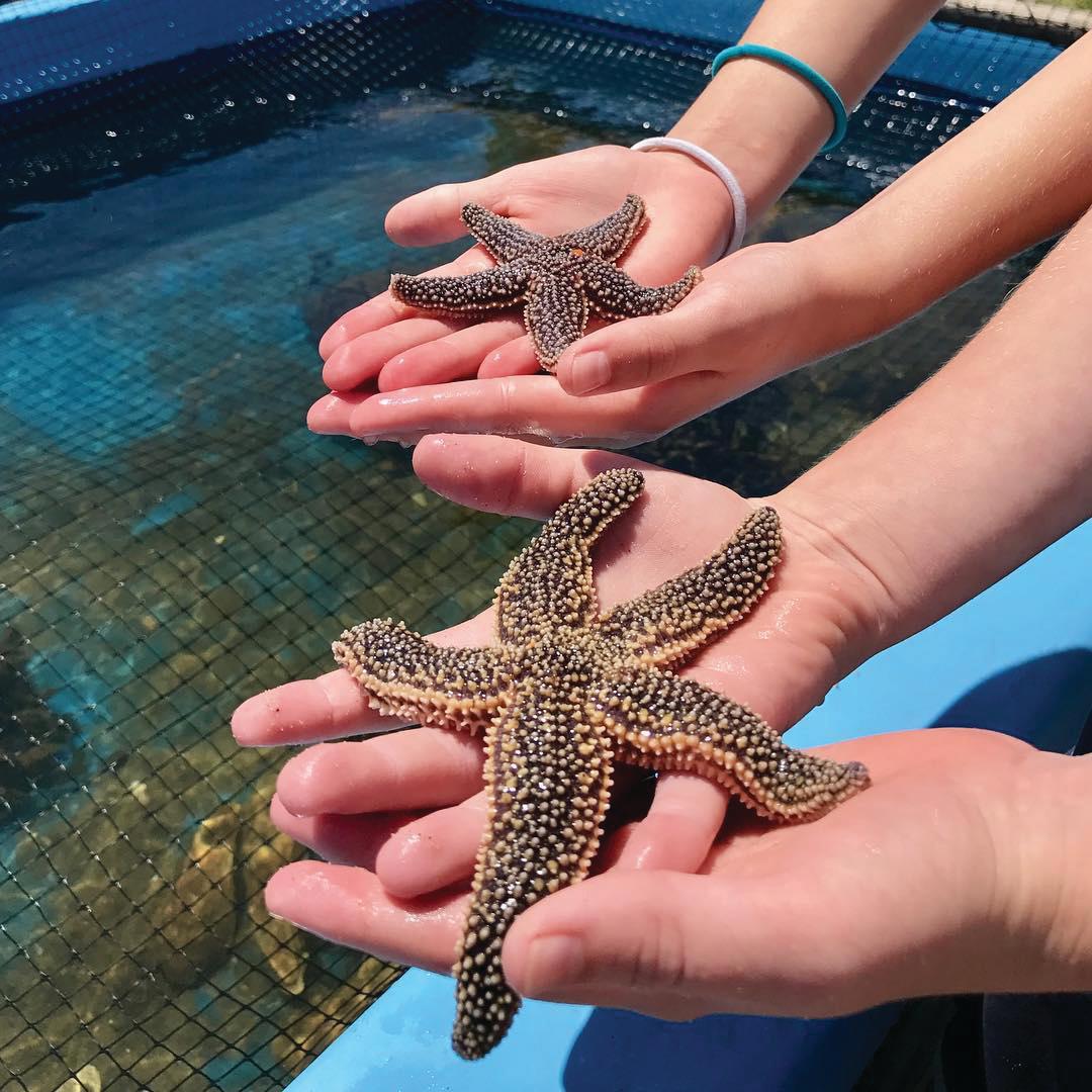 Block Island One Day Trip | Beaches & Family Activities