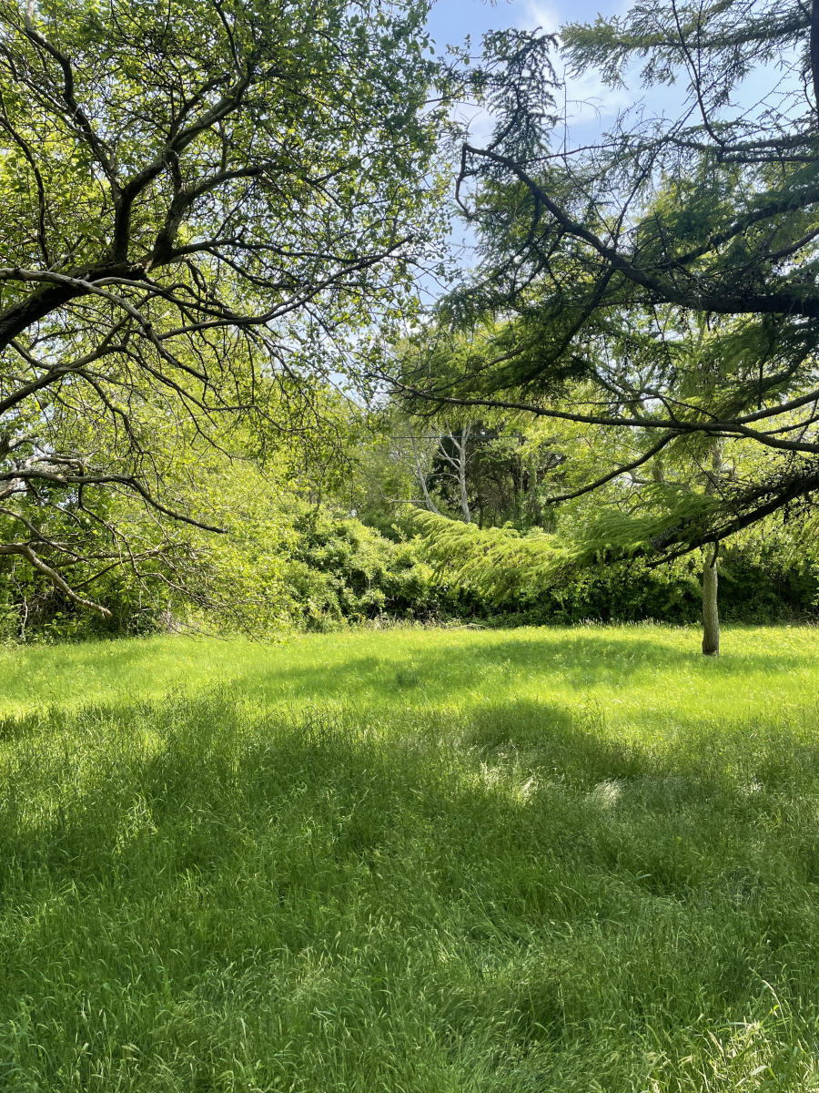 Island Free Library | Block Island Public Library & Services