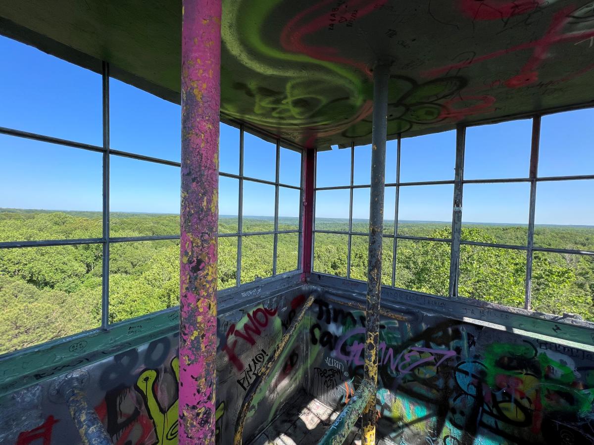 Go Climb A Fire Tower