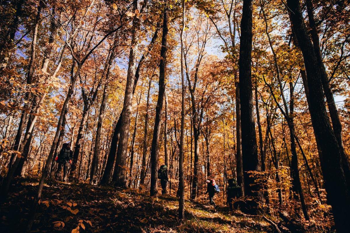 Fall Hiking in Bloomington | Trails & Outdoor Attractions