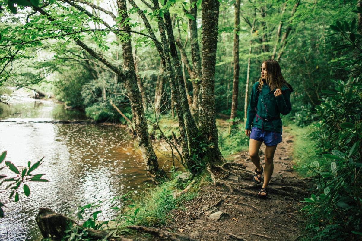 Best Boone, NC Hikes Year-Round