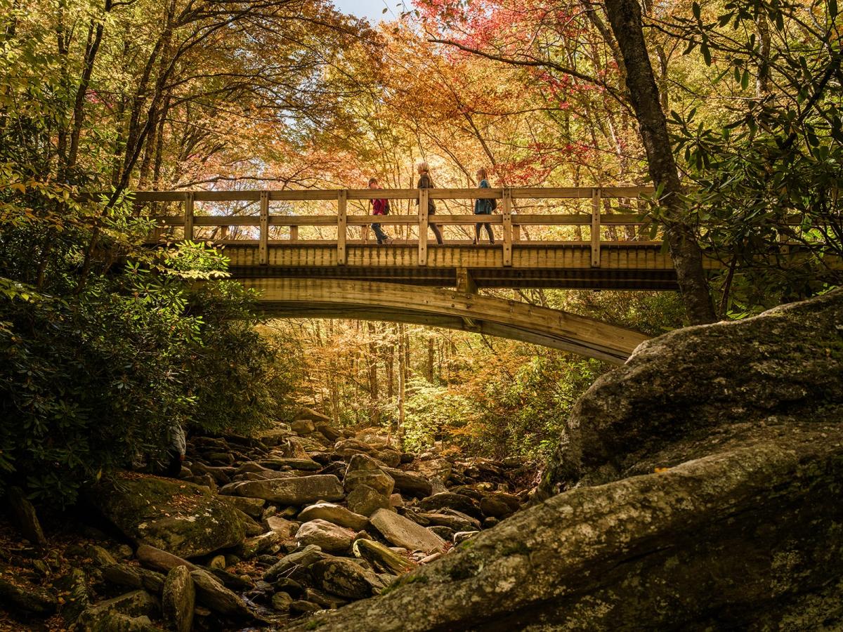 Nature Along the Blue Ridge Parkway | Boone, NC