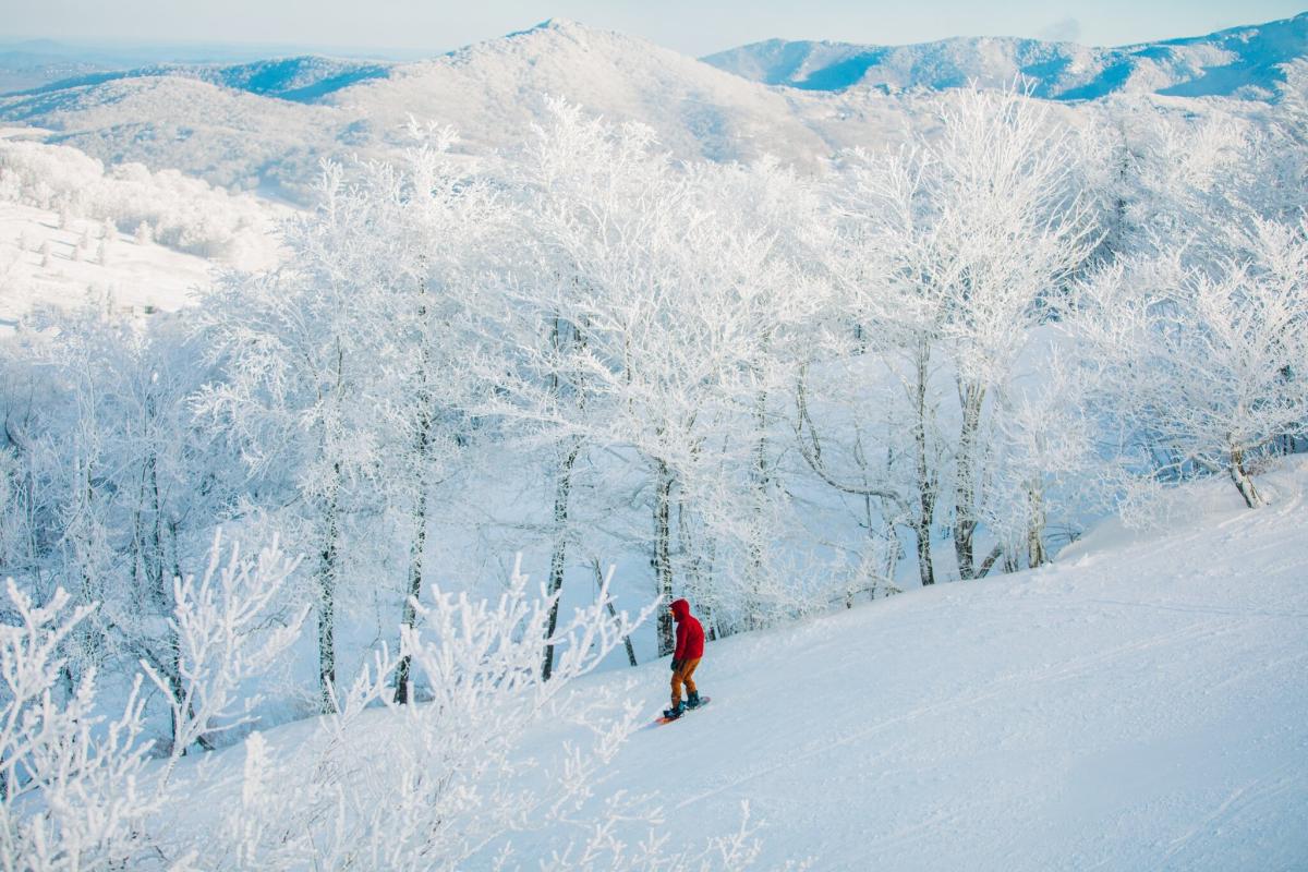 Boone, NC Winter Bucket List | Top 10 Things to Do in Winter