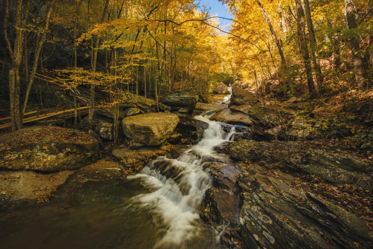 Unique Ways to View Fall Color | Explore Boone, NC