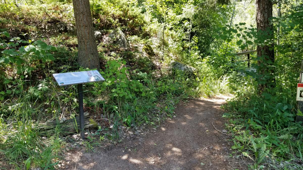 Boulder Trails | Find the Best Kept Secrets of Boulder Hikes