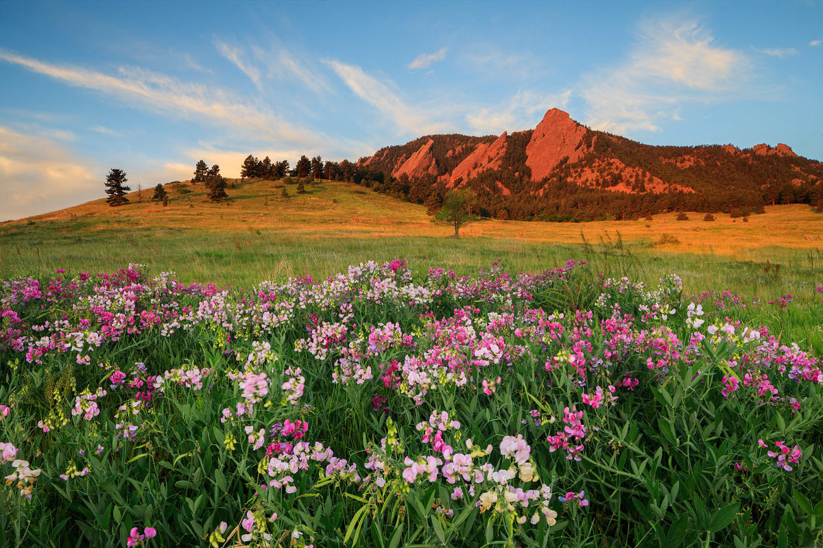 Summer Bucket List for Boulder, Colorado