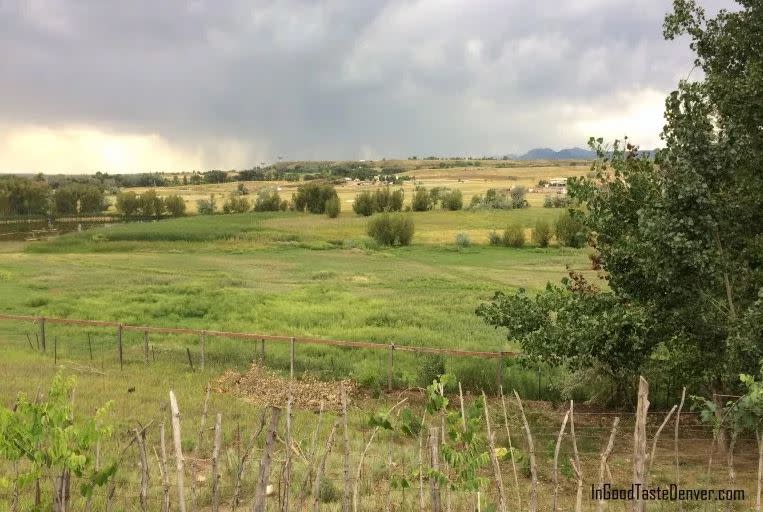 In Good Taste Denver: Boulder County Farm Trail