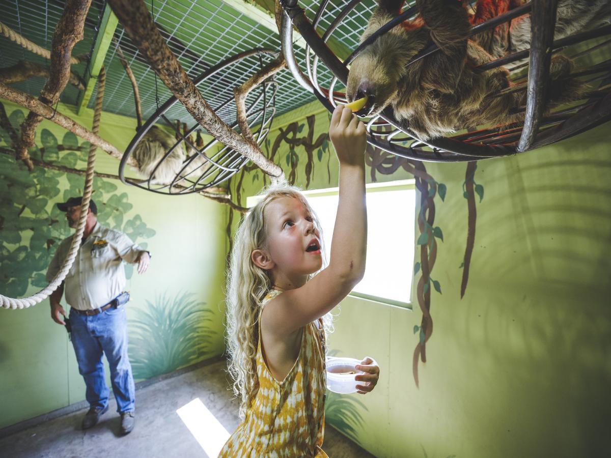 Experience Branson's Promised Land Zoo