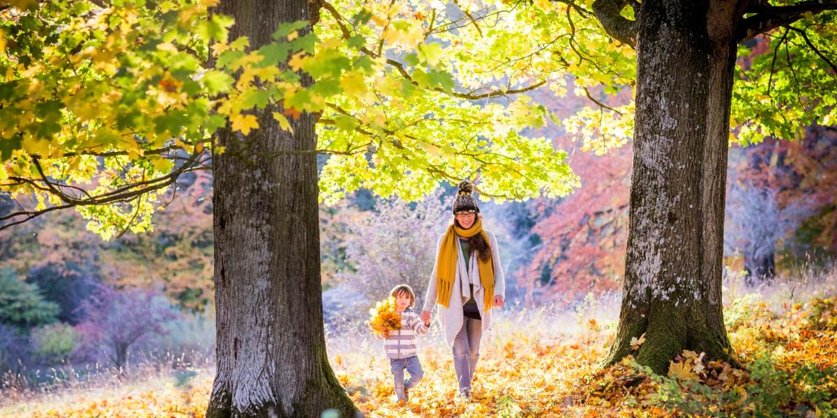 Bristol's best autumn walks - VisitBristol.co.uk