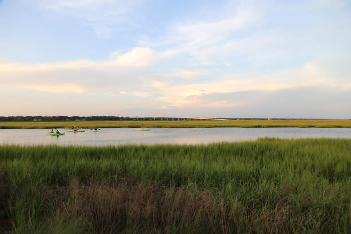 Beyond the Beach: Discover Marsh Madness in North Carolina's Brunswick ...