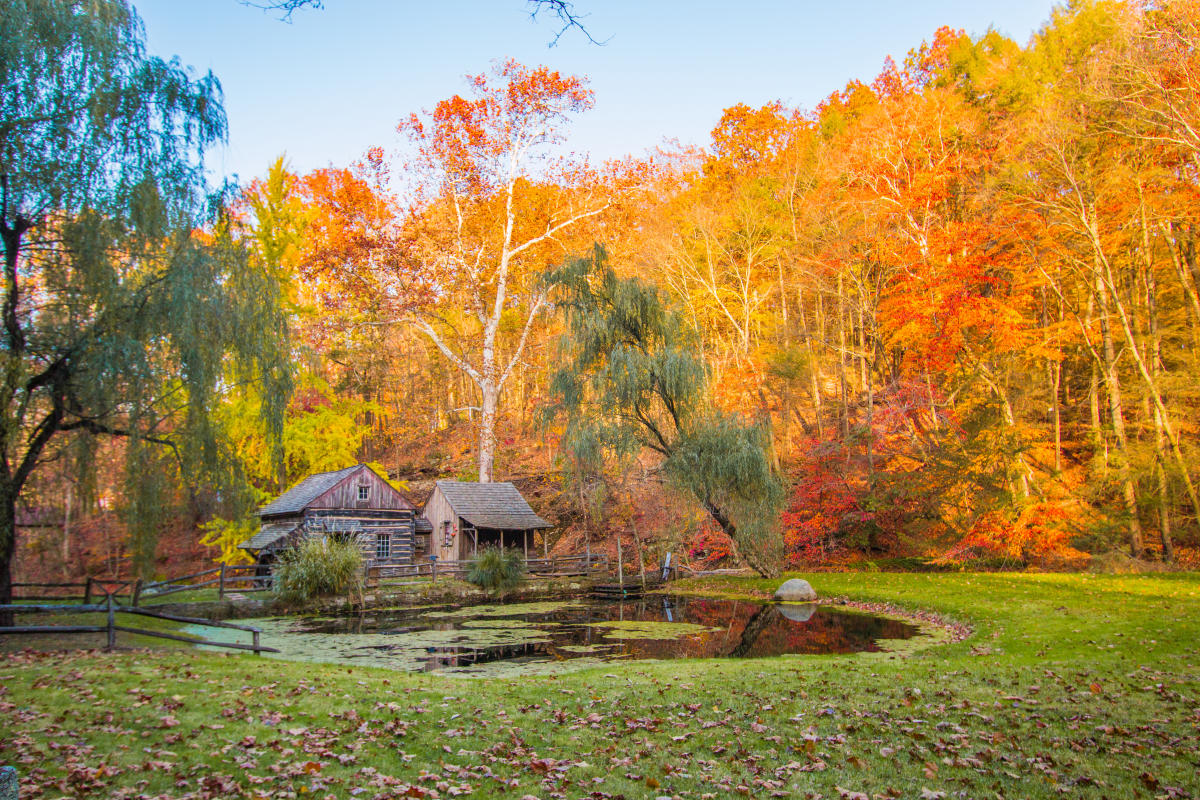 Bucks County Named #1 Fall Foliage Destination in the U.S.