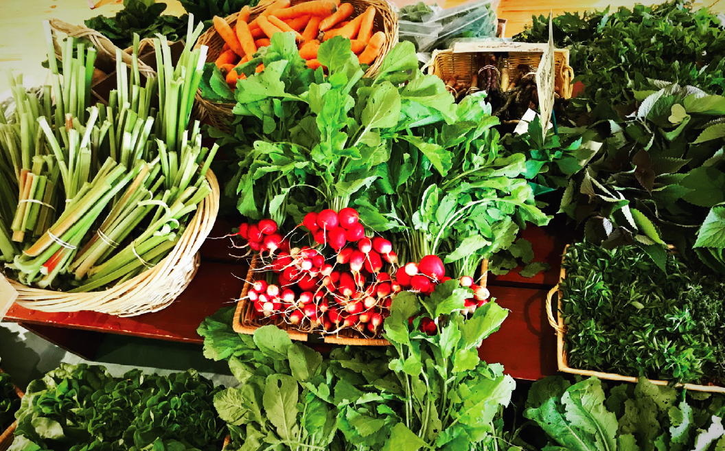 Farm-To-Table Fresh
