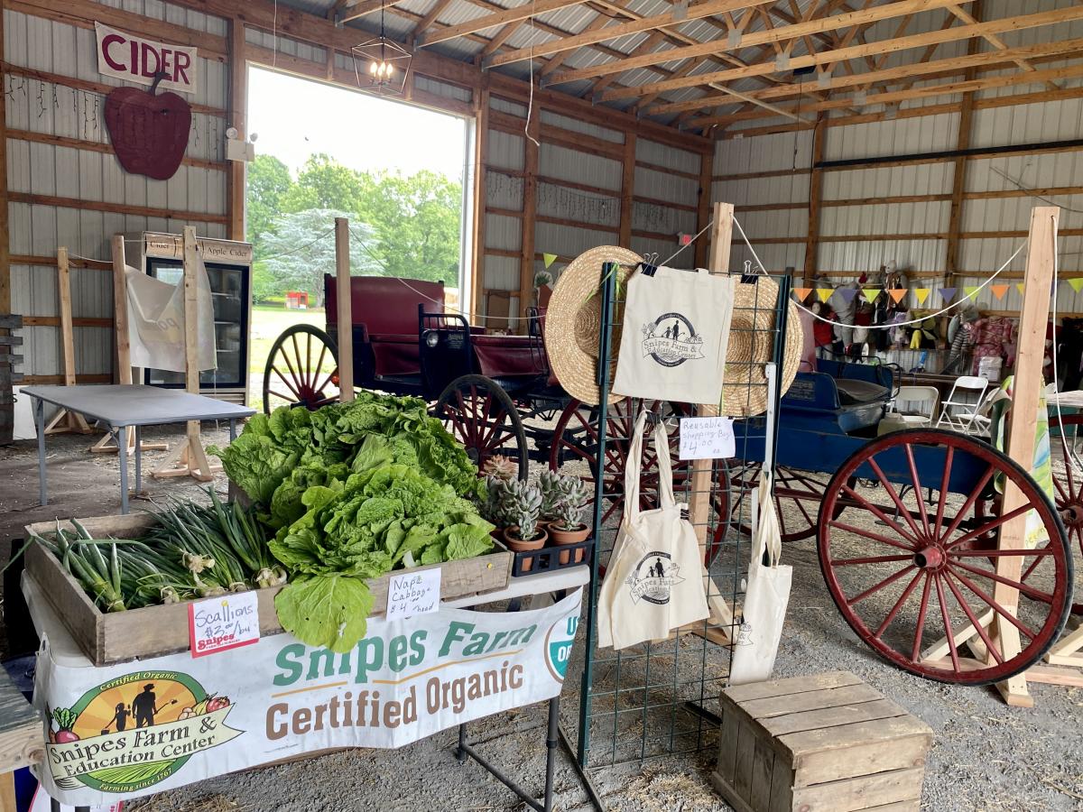 5 Ways for Fall Fun at Snipes Farm