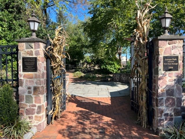 Pocket Park It Like A Local