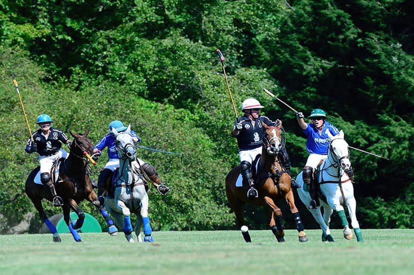A Royal Surprise: Polo In Tinicum Park Is For Everyone