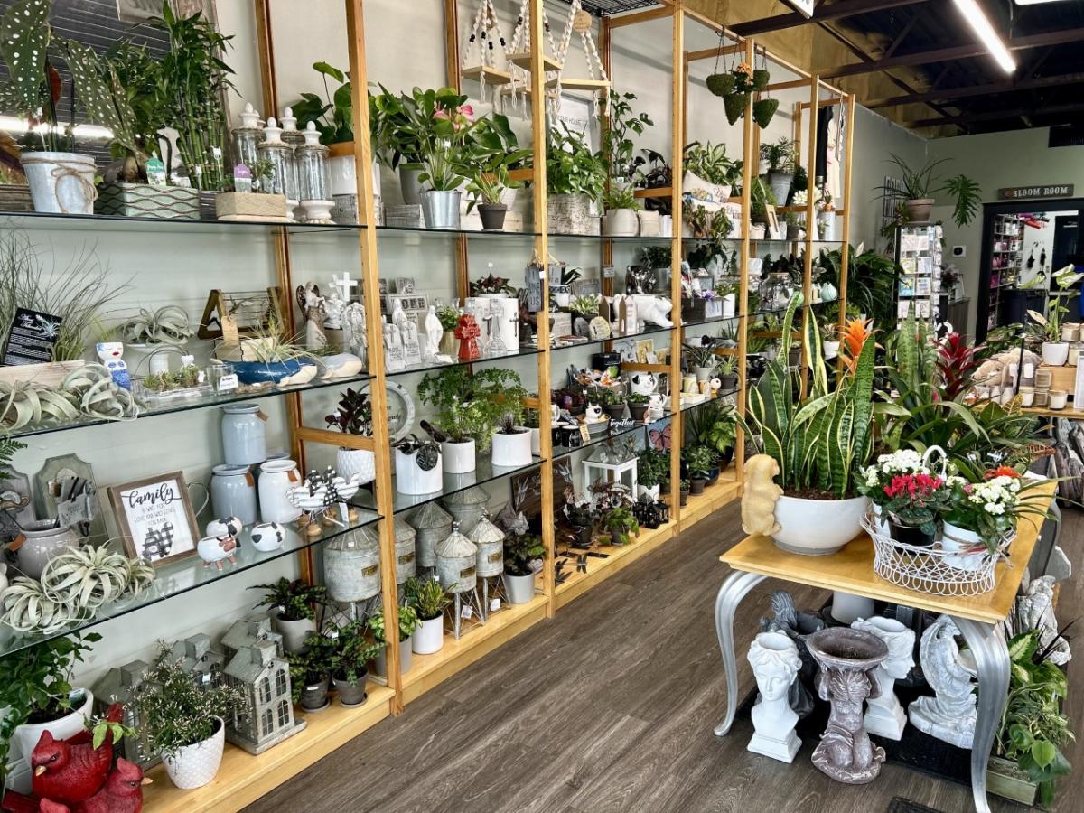 Plumeria Botanical Boutique in Battle Creek | Flowers & Plants